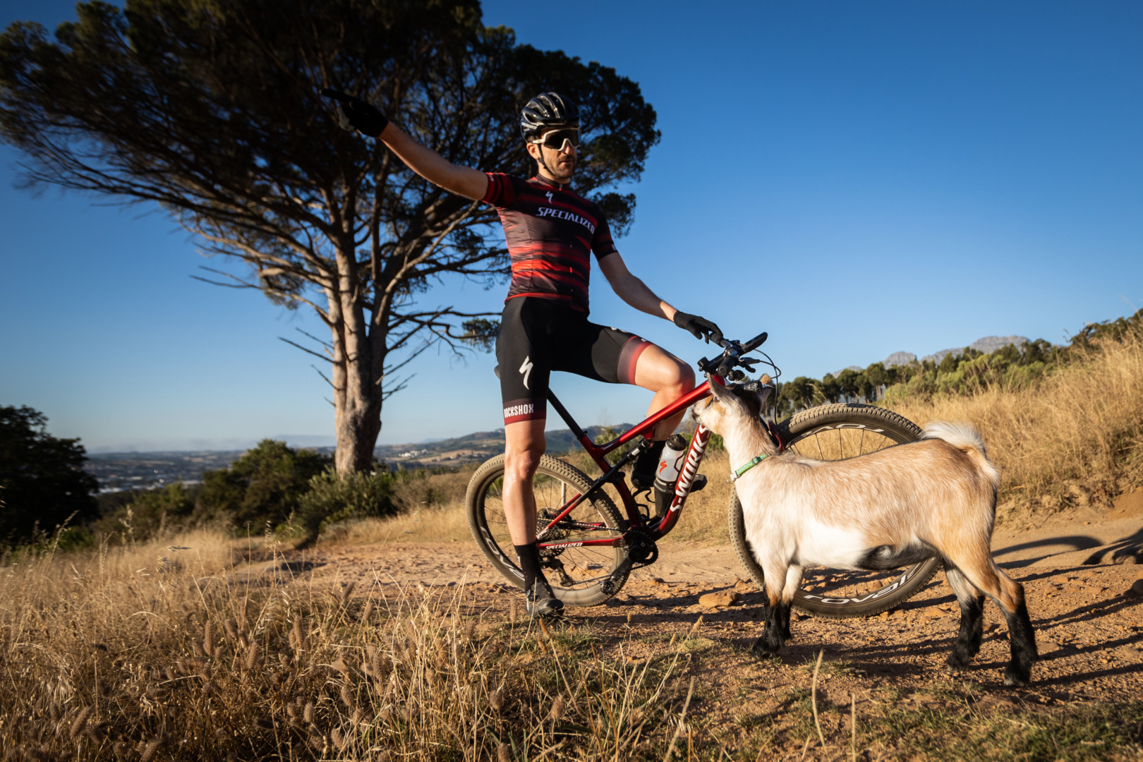 Specialized factory racing team gerhard kerschbaumer koza | Portal ...