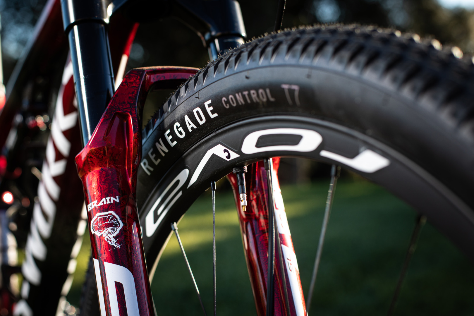 specialized factory racing 2022 s-works epic roval renegade control ...