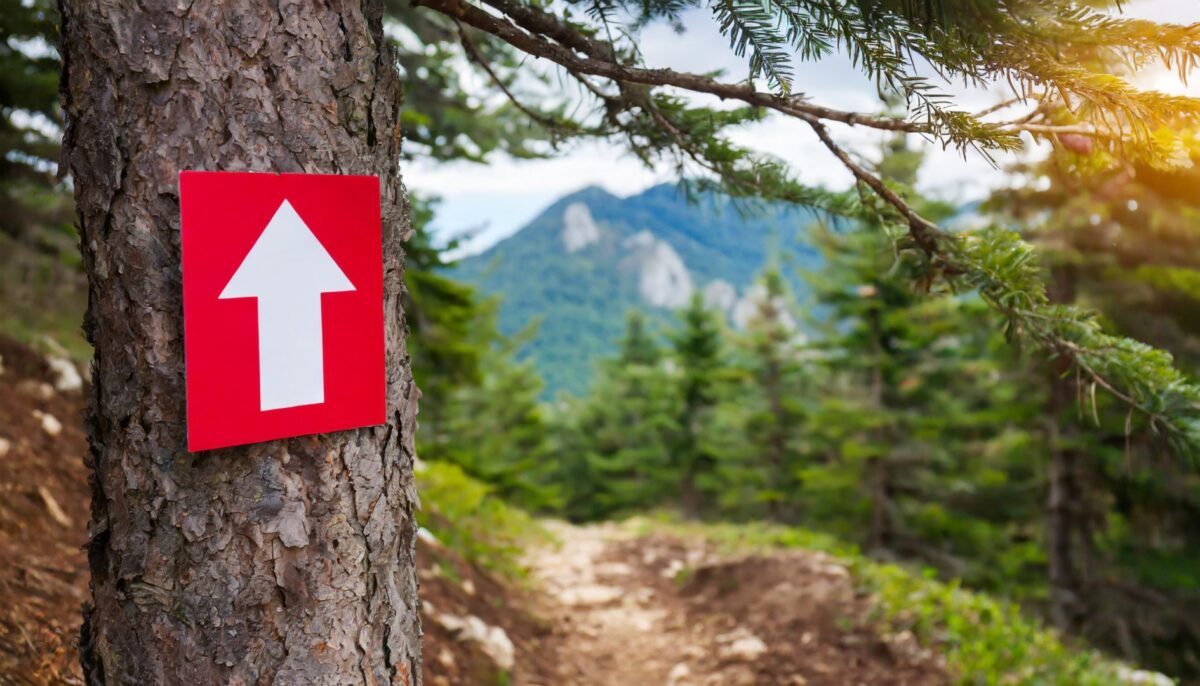 Czy spadek zainteresowania maratonami MTB odbywa się na własne życzenie ...